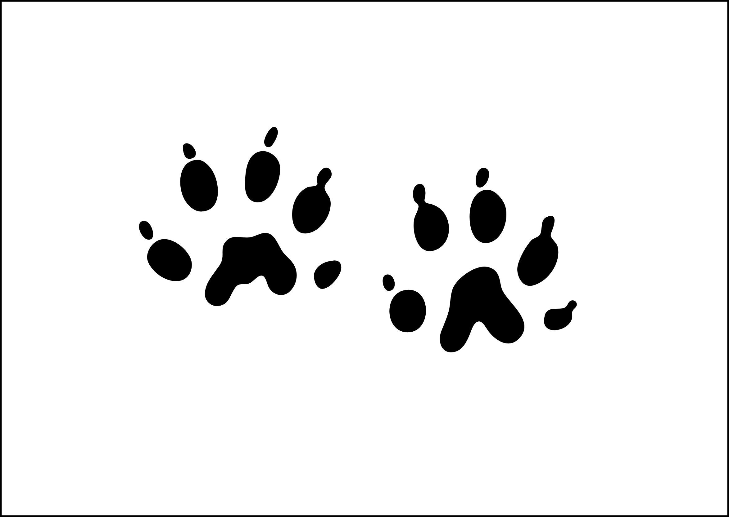 Mink paw print tracks foot print Animal zoo wild pet cut | Etsy