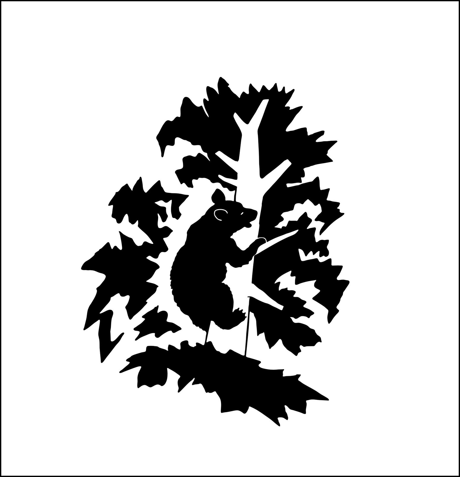 Bear in tree Black Bear Brown Bear Animal zoo wild pet cut | Etsy