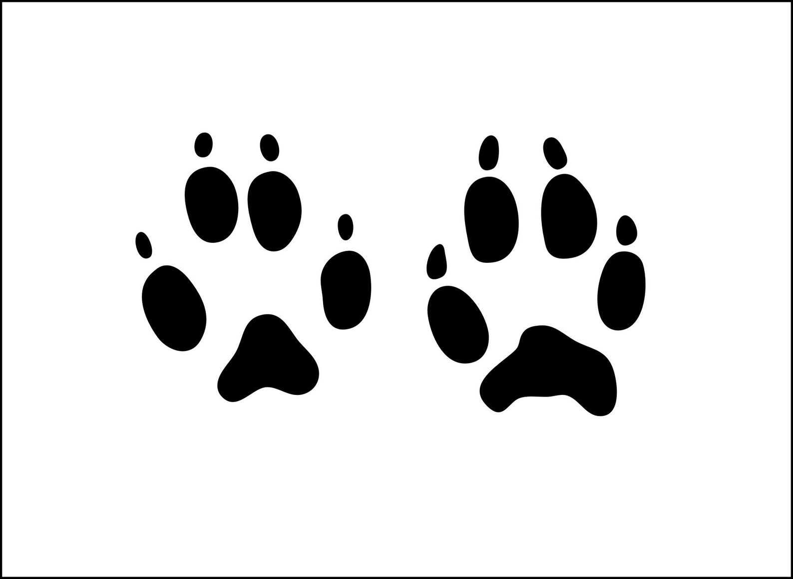 Fox paw print tracks foot print Animal zoo wild pet cut | Etsy