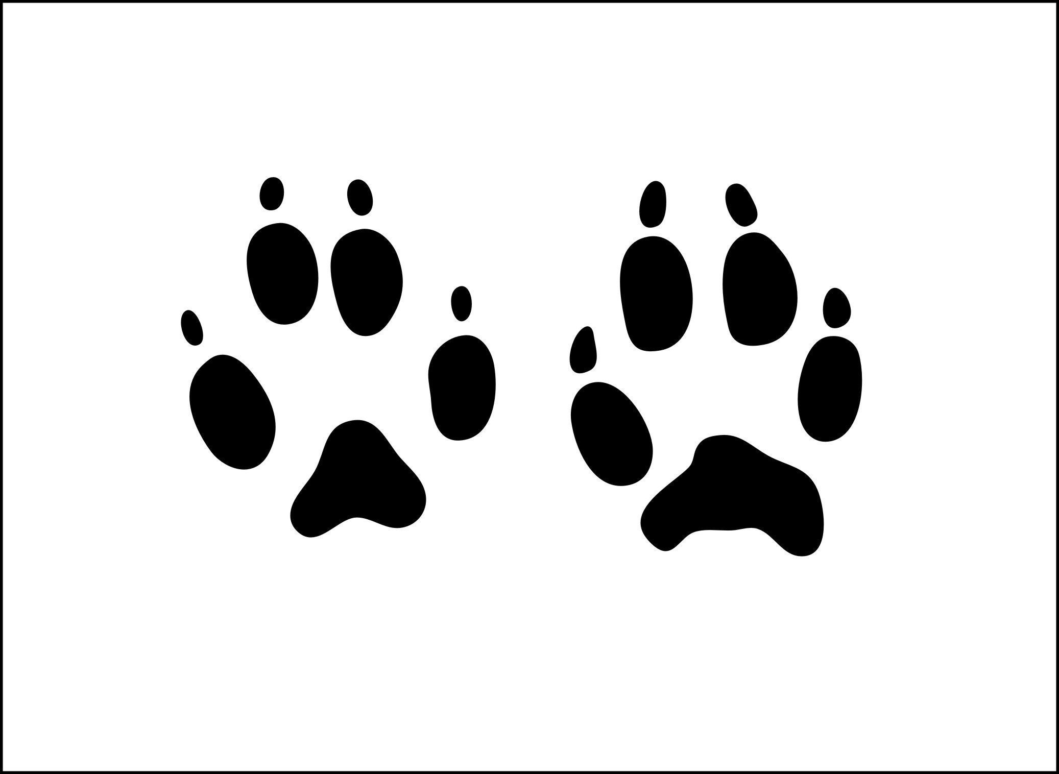 Fuchs Paw Druck Spuren Fuß Druck Tier Zoo wild Haustier | Etsy