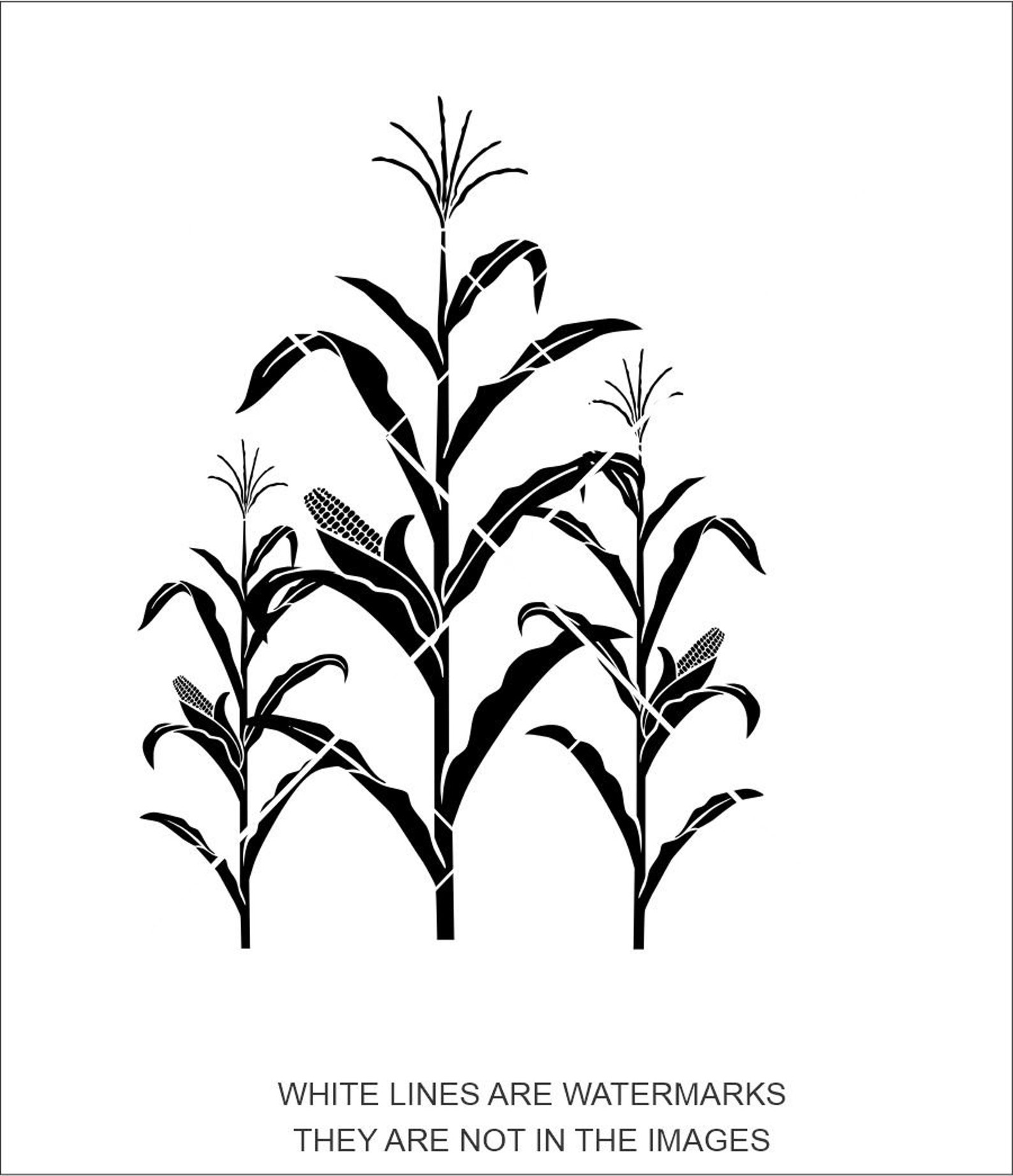 Corn Stalks svg Ear of corn Field Corn Stalks svg Clipart | Etsy