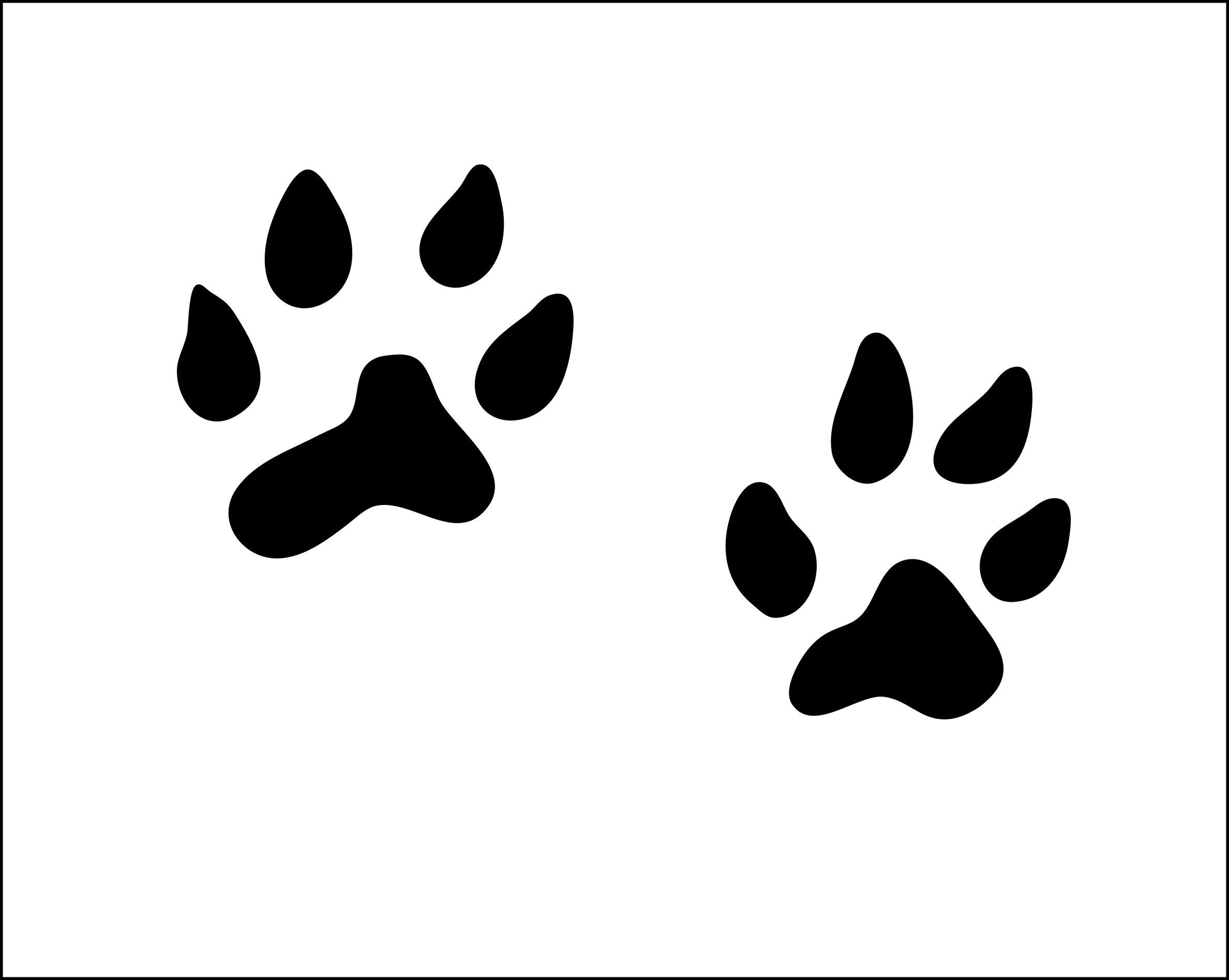 Weasel tracks weasel foot paw print Animal zoo wild pet cut | Etsy