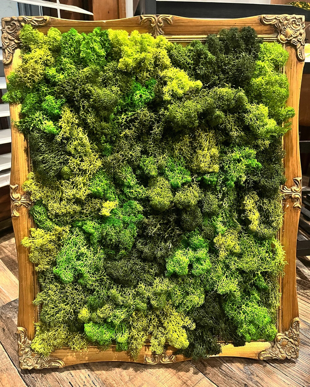 This item is unavailable - Etsy