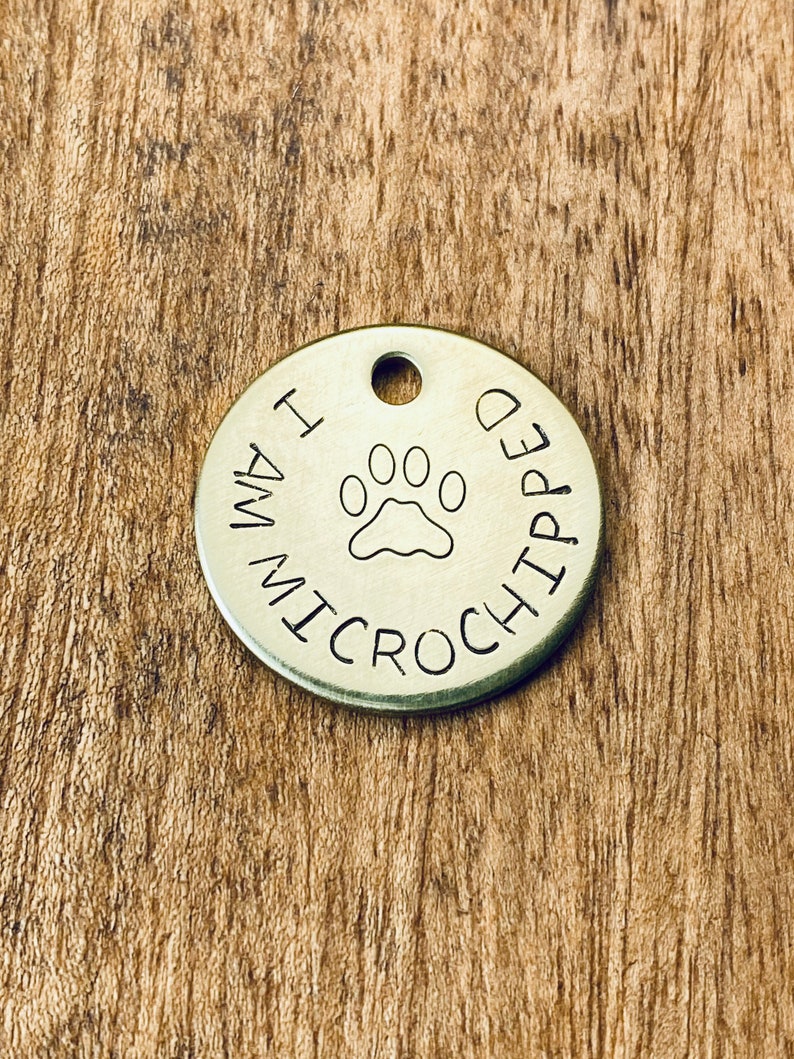 Dog Microchip Tag I Am Microchipped Tag Pet Microchipped | Etsy