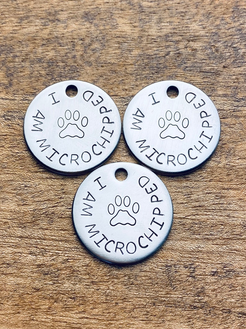 Dog Microchip Tag I Am Microchipped Tag Pet Microchipped | Etsy