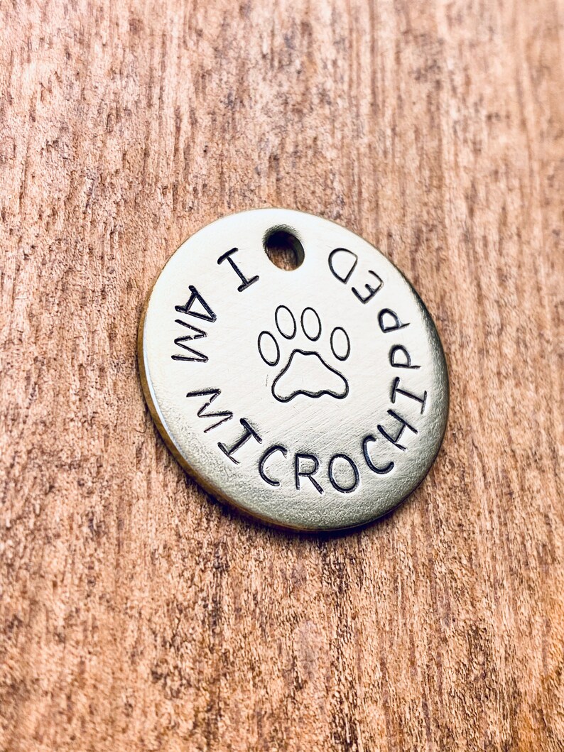 Dog Microchip Tag I Am Microchipped Tag Pet Microchipped | Etsy