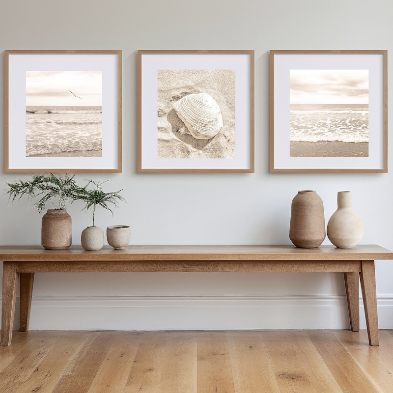 Sepia Shell Prints - Etsy