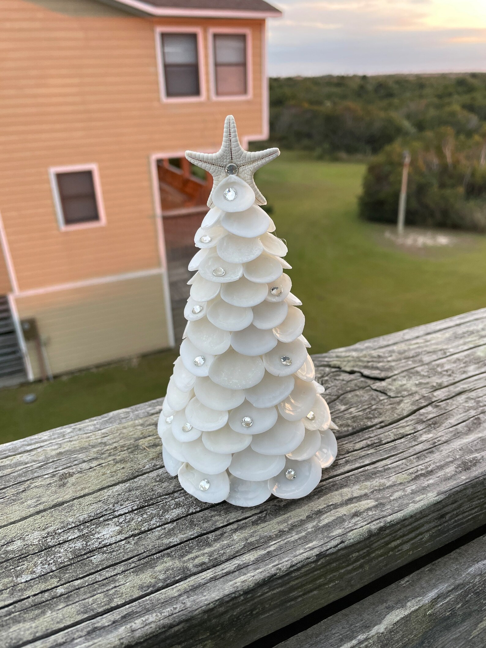 Miniature White Cay Cay Shell Tree - Etsy