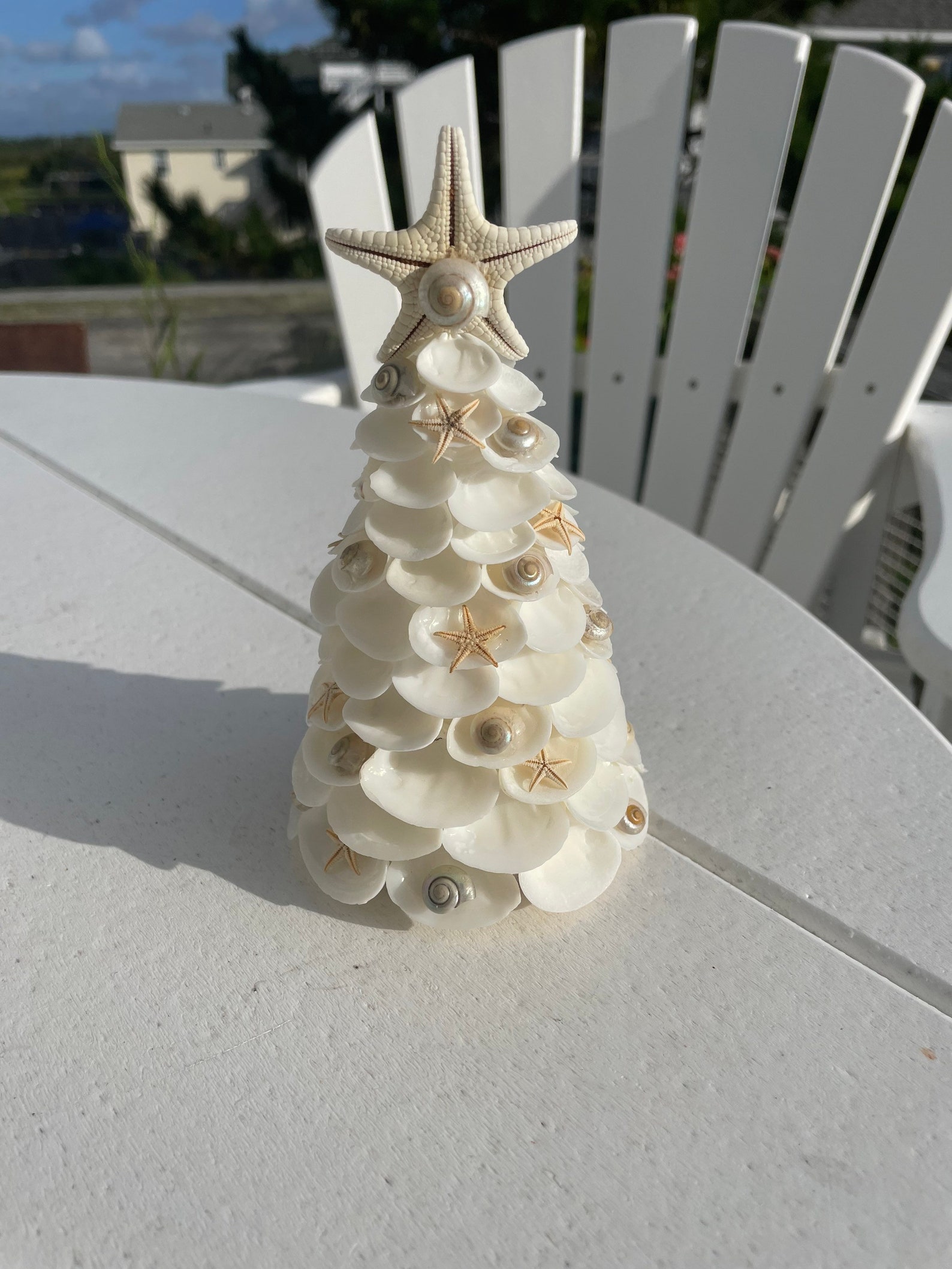 Cay Cay Sea Shell Tree Sm - Etsy