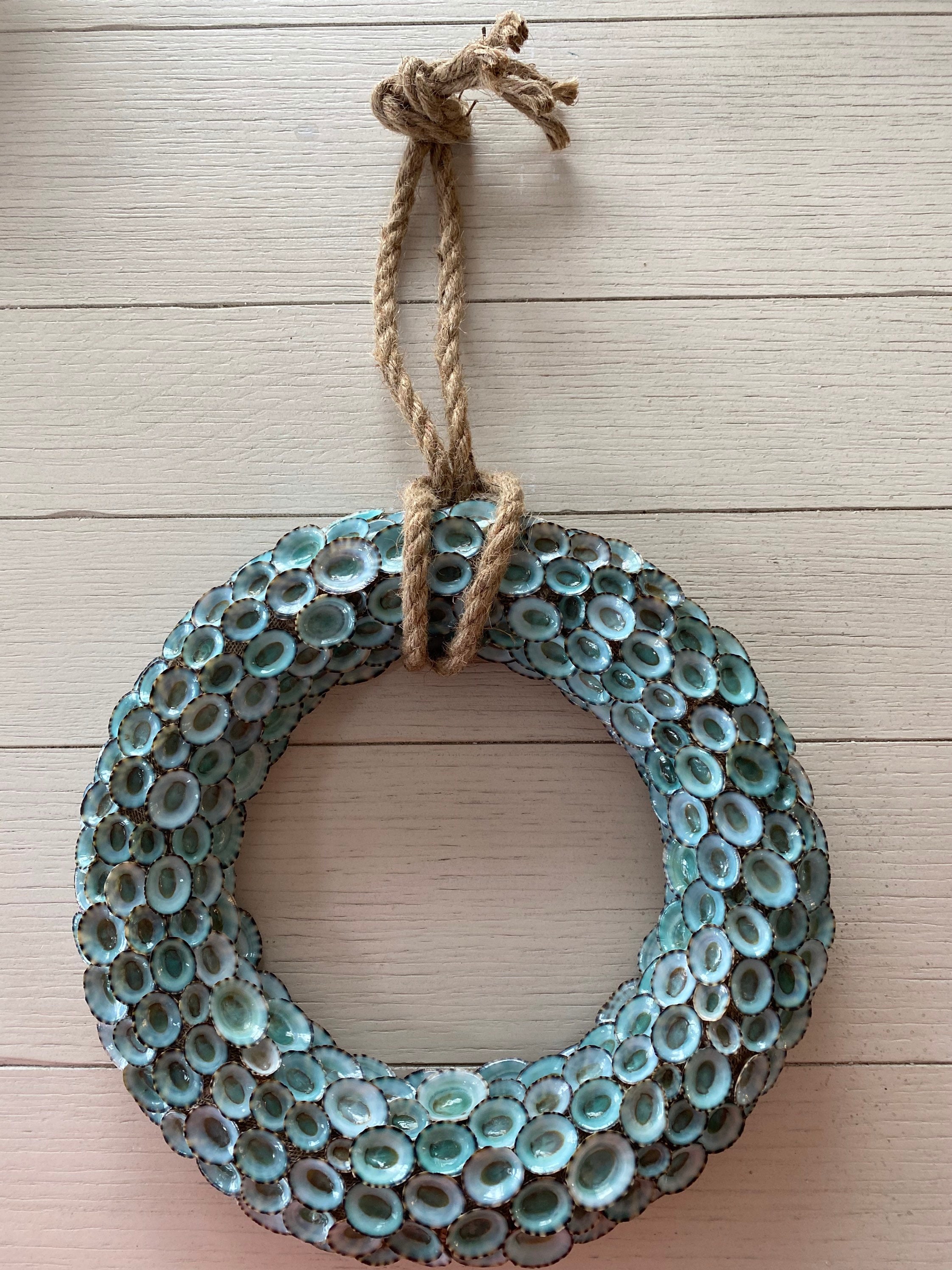 Blue limpet Shell wreath with nautical rope hanger made to | Etsy