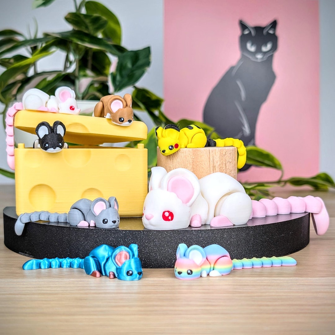 Mouse Fidget Toy, Articulating Flexi Fidgets, Cheese Container, Cute ...