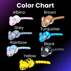 Mouse Fidget Toy, Articulating Flexi Fidgets, Cheese Container, Cute ...