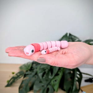 Worm Fidgets, Worm Fidget Toy With Apple, Gifts for Teachers ...