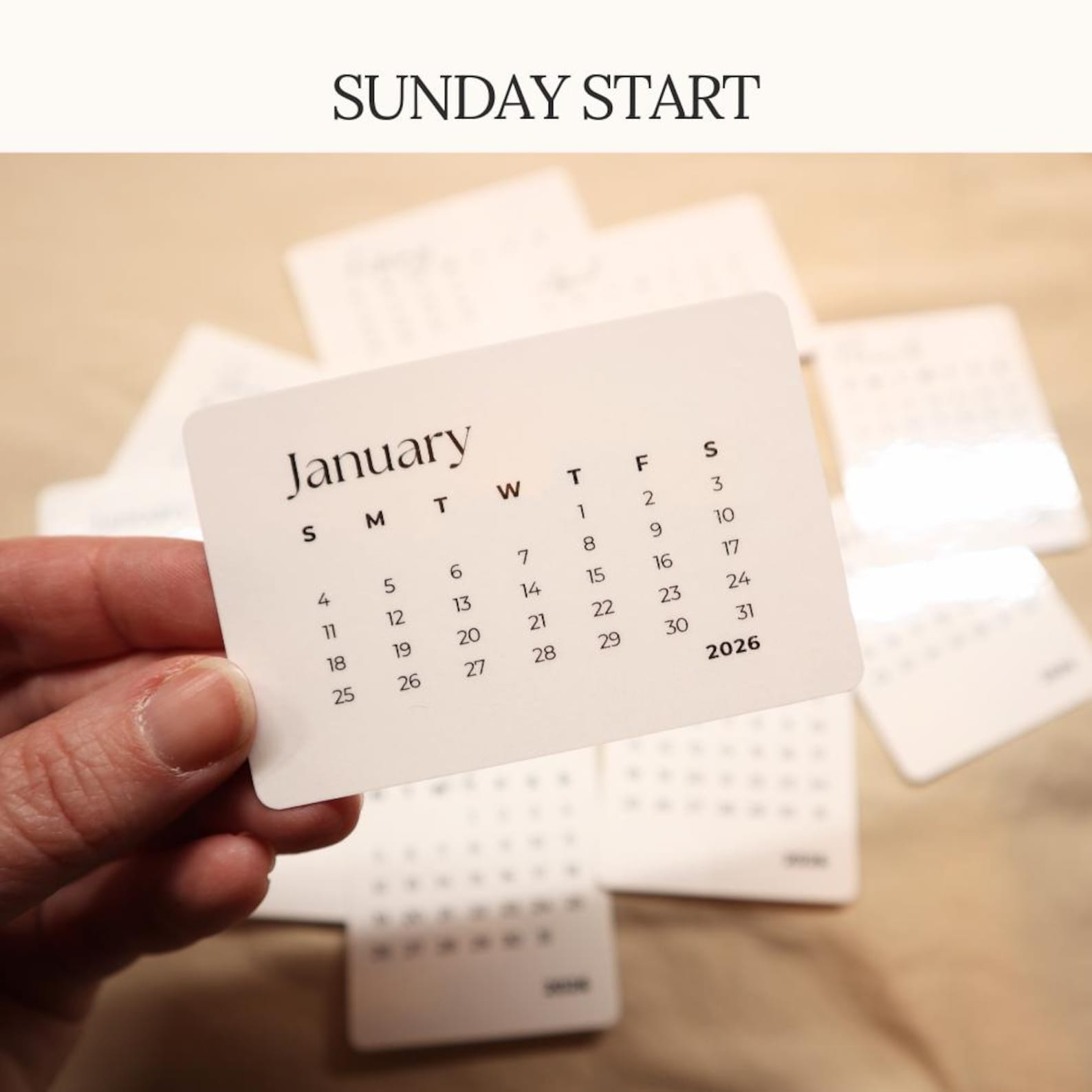 2026 Monthly Calendar Cards Glossy Laminated Cardstock Set of 12 ...
