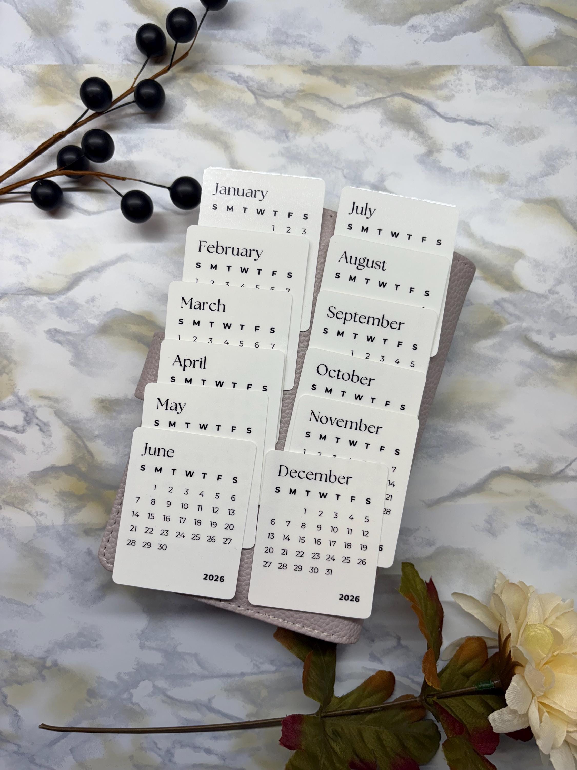 2026 Monthly Calendar Cards Glossy Laminated Cardstock Set of 12 ...