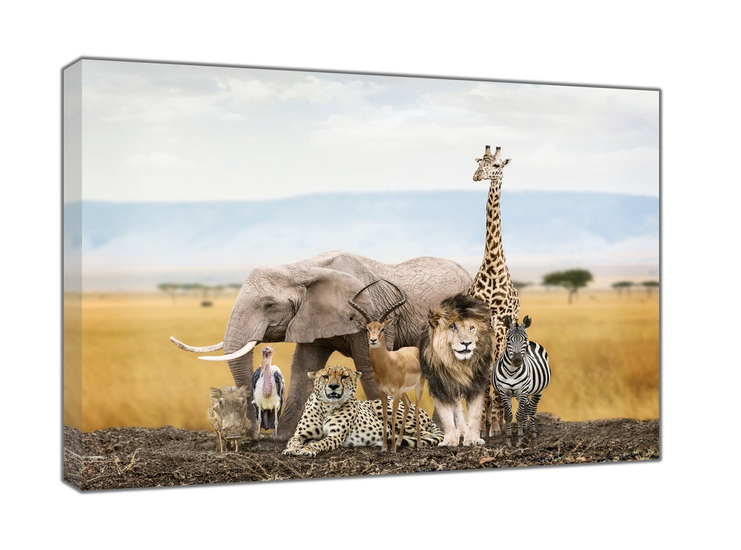 Group of Safari Animal Picture Photo Print Framed Canvas Wall Art Home ...