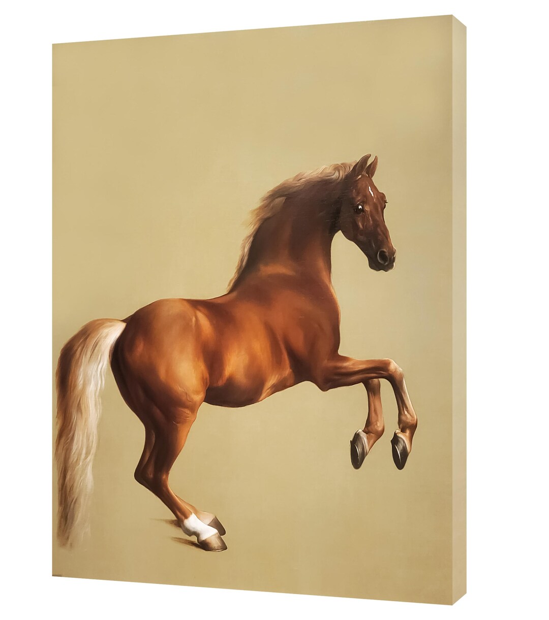 George Stubbs Whistlejacket Horse Painting by Picture Print on Framed ...