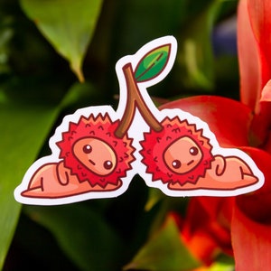 Cute Lychee Buddies Vinyl Sticker - Etsy