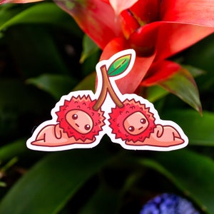 Cute Lychee Buddies Vinyl Sticker - Etsy