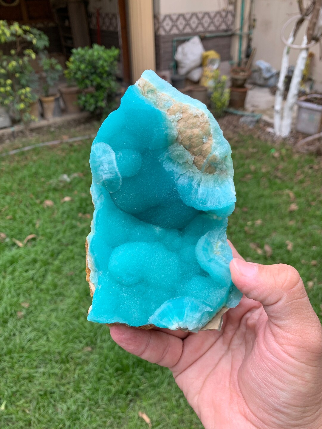 AAA Grade Hemimorphite Specimen - Real Crystal Specimen- Hemimorphite ...