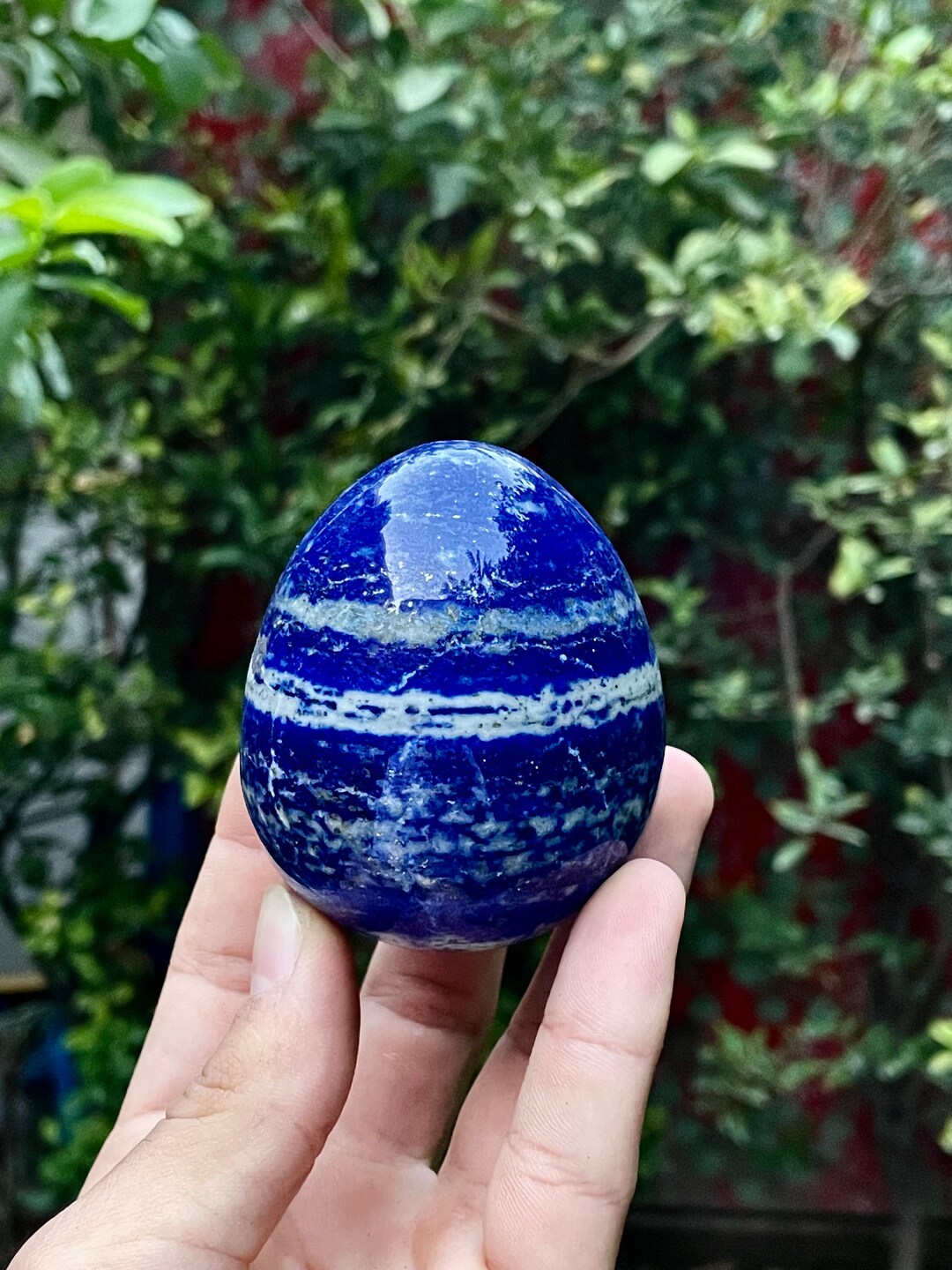 XL Lapis Lazuli Egg – Premium Gemstone Crystal - Etsy