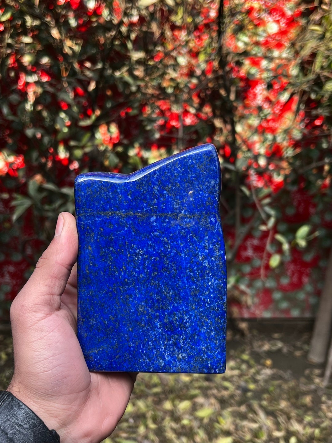 Premium Quality Lapis Lazuli Freeforms- Lapis Freeform- Gemstone ...