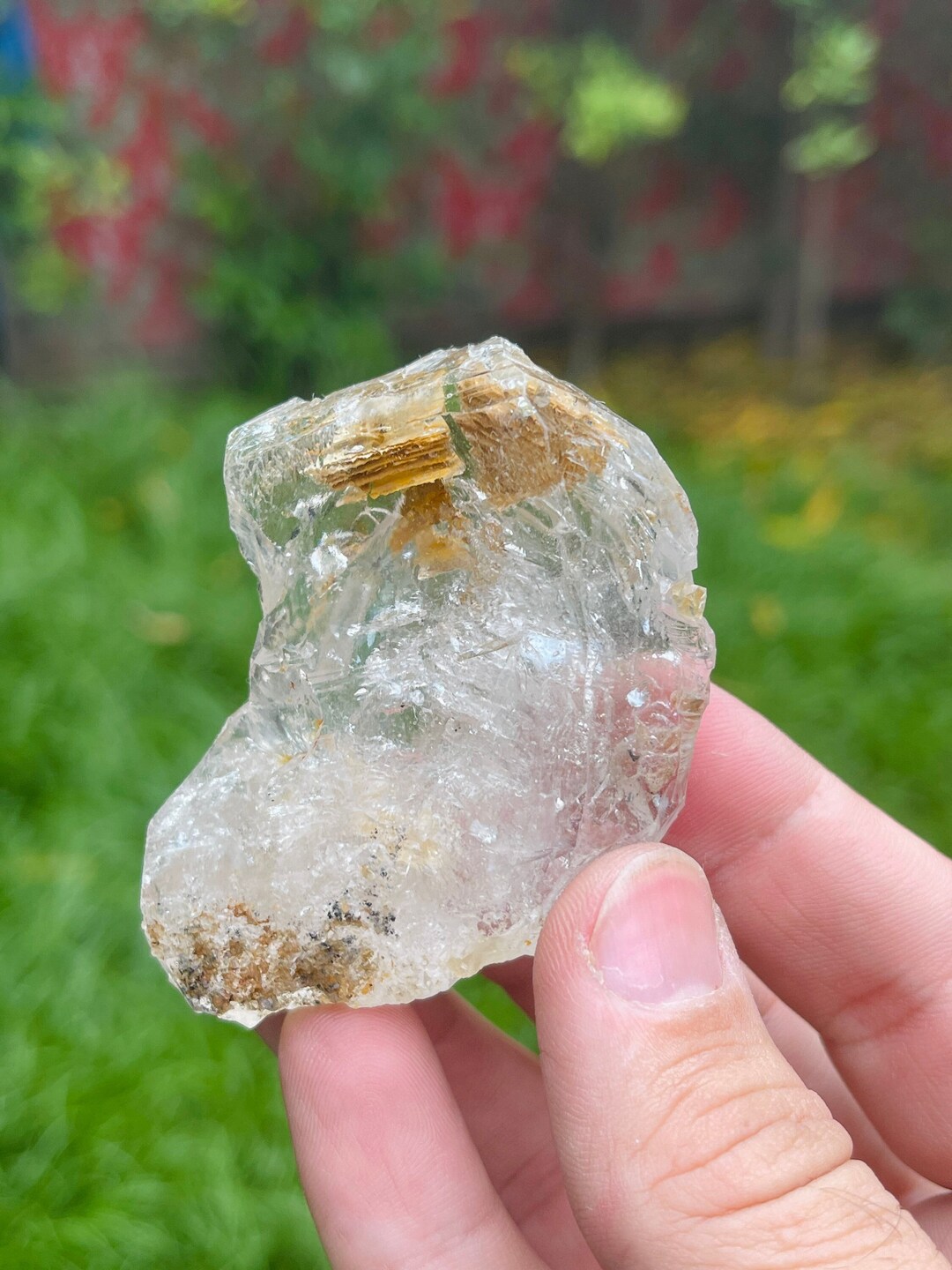Fenster Elastial Window Quartz- Elastial Window Specimen - Window ...