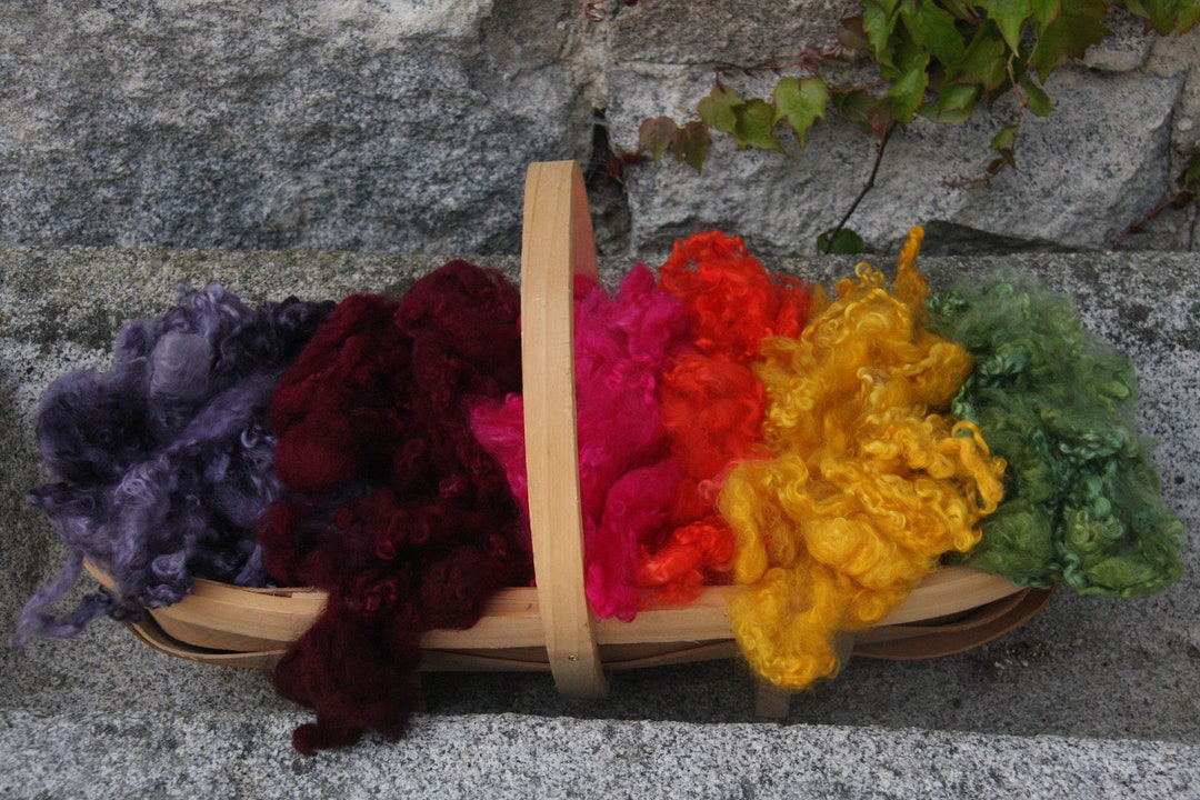 Colourful, Dyed Wensleydale Locks - Etsy