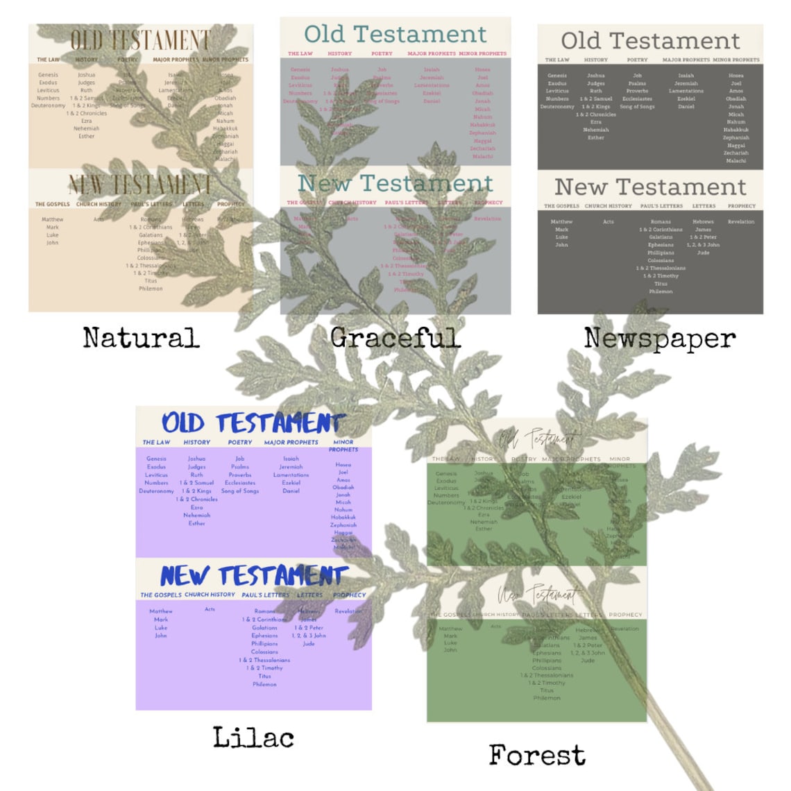 Lilac - Bible Study Template, P.O.W.E.R. Method - Etsy
