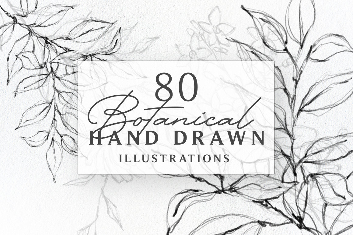 80 Botanical Floral Pencil Hand Drawn Illustration - Etsy