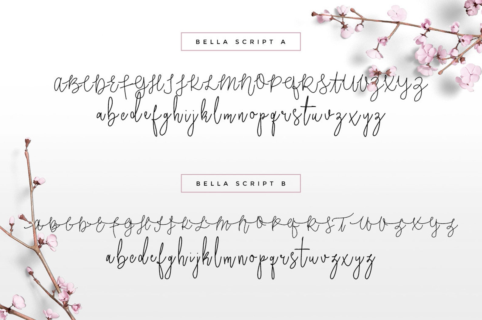Bella Script Font - Etsy