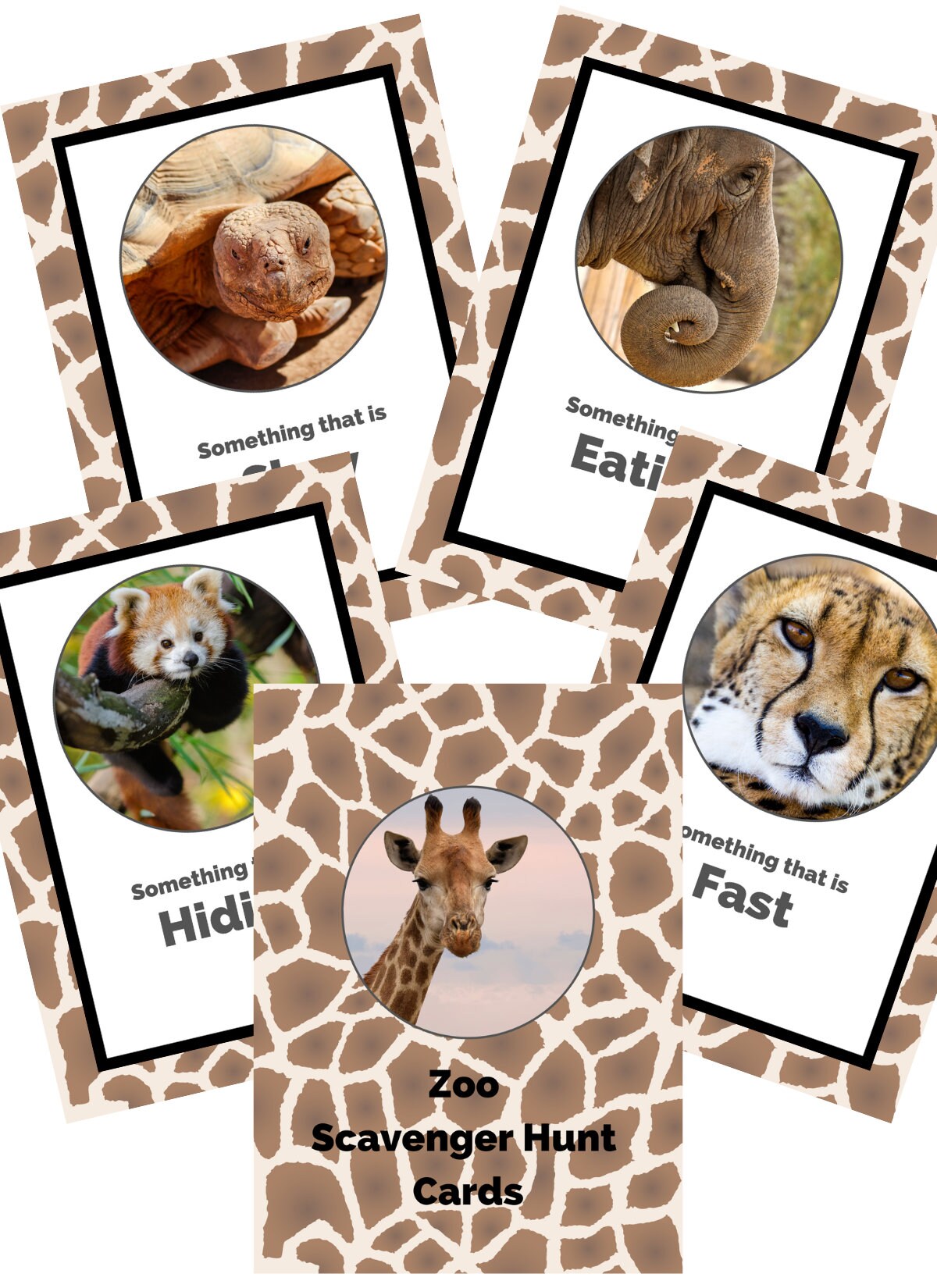 Zoo Scavenger Hunt Card Game - Etsy