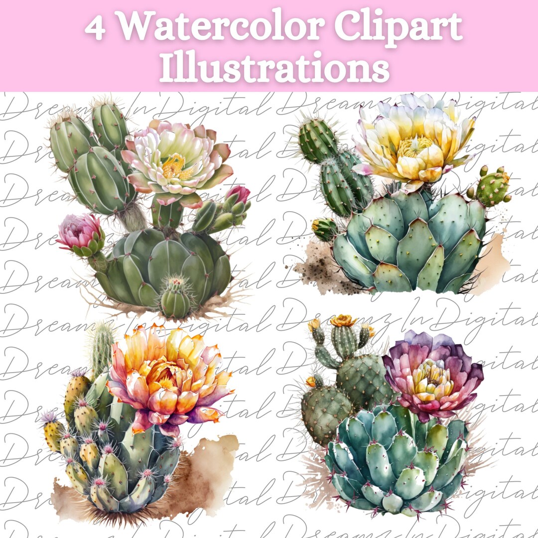 Cactus PNG Bundle, Cactus Png Sublimation Design, Watercolor Cactus Png ...
