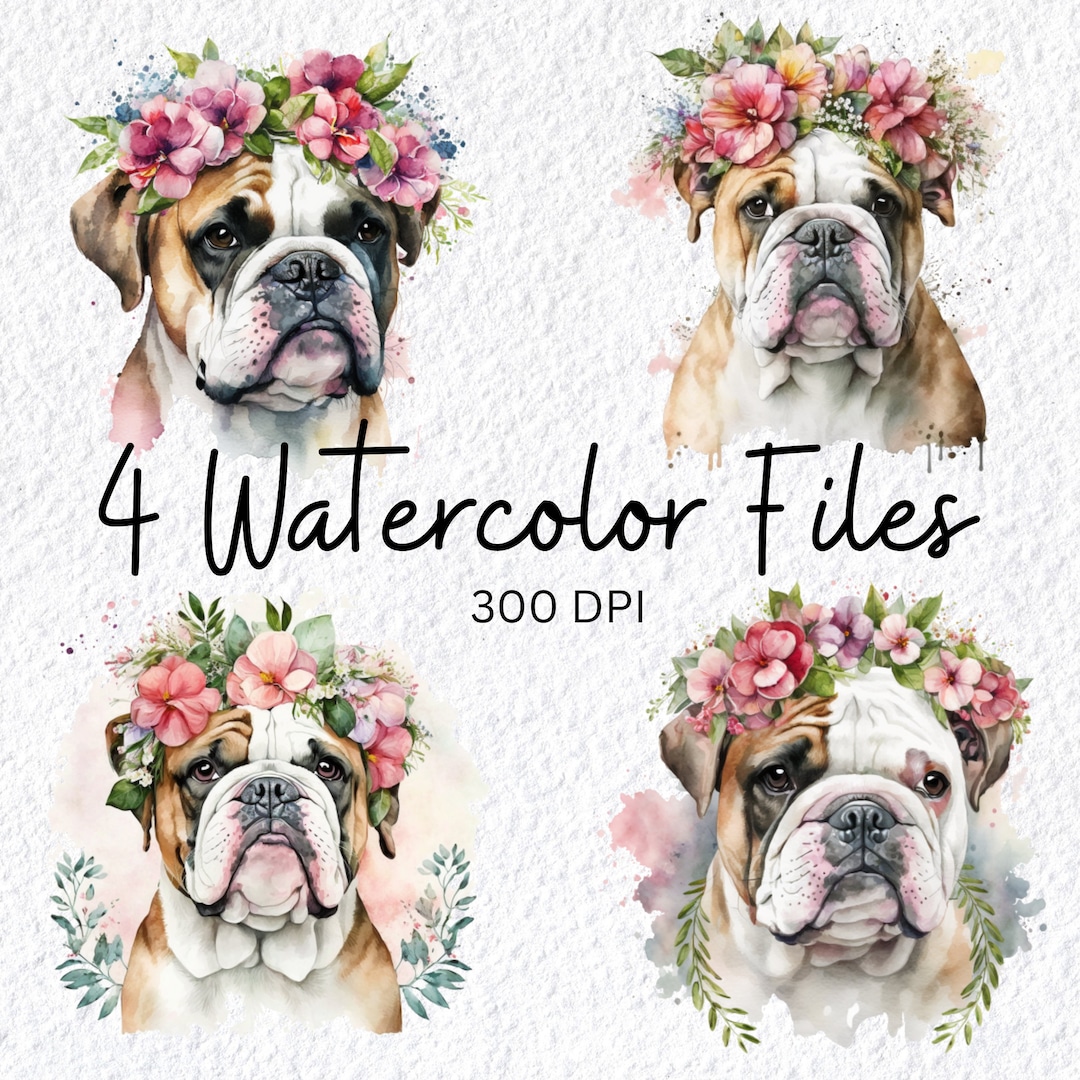 English Bulldog Watercolor Clipart, Dog PNG, English Bulldog With ...