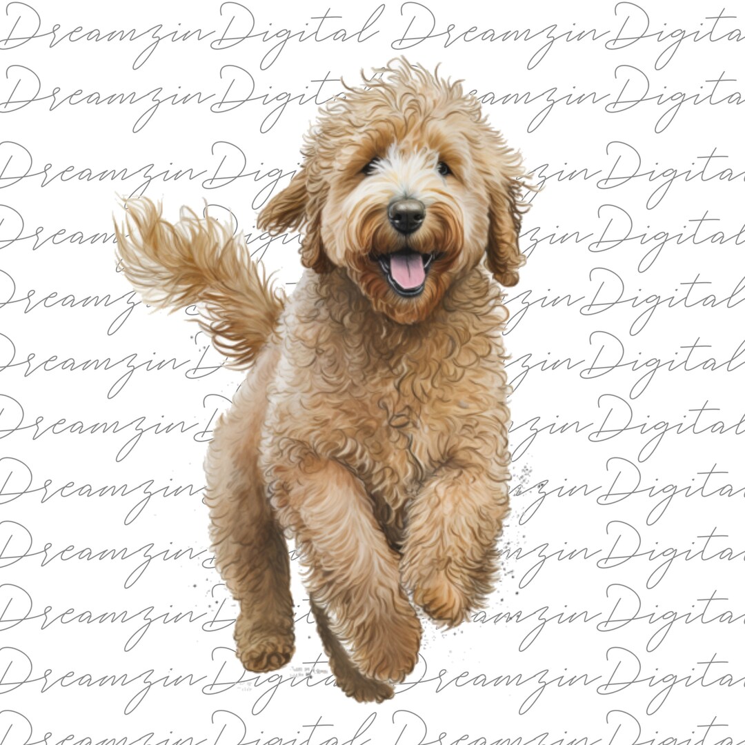 Golden Doodle PNG, Dog Bundle, 4 PNG Files, Free Commercial Use ...
