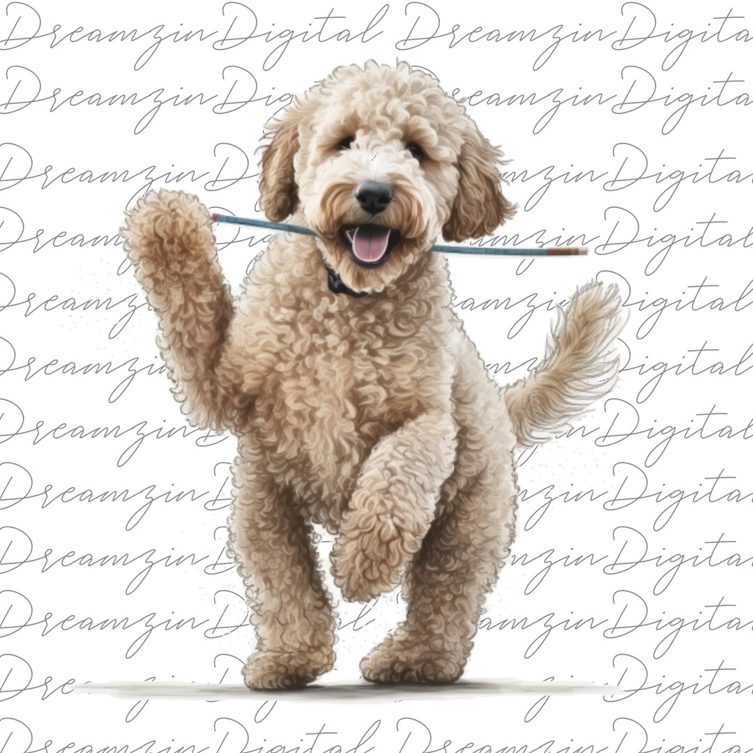 Golden Doodle PNG, Dog Bundle, 4 PNG Files, Free Commercial Use ...