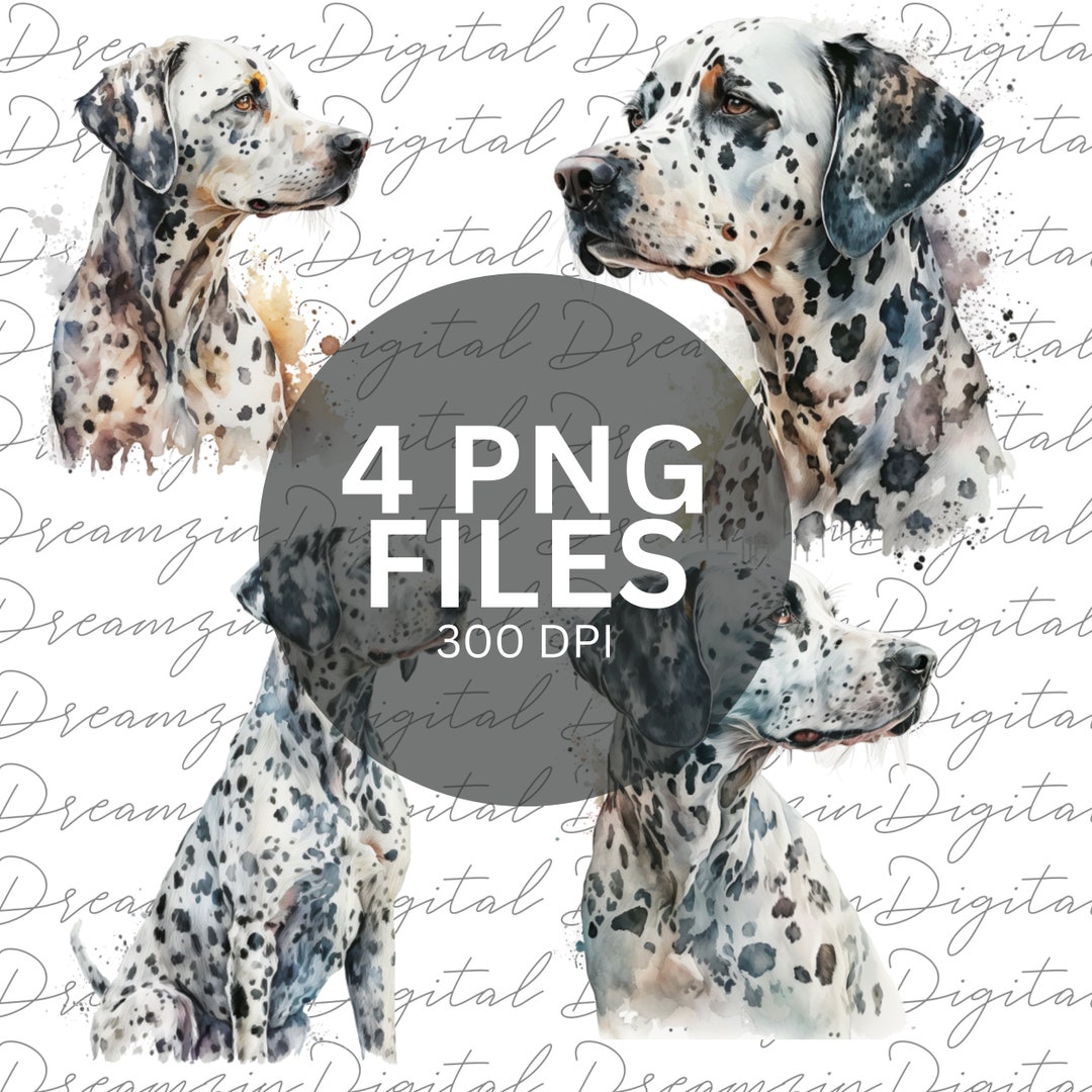 Dalmation Watercolor PNG, Digital Downloads, Dalmation Clipart, Dog PNG ...