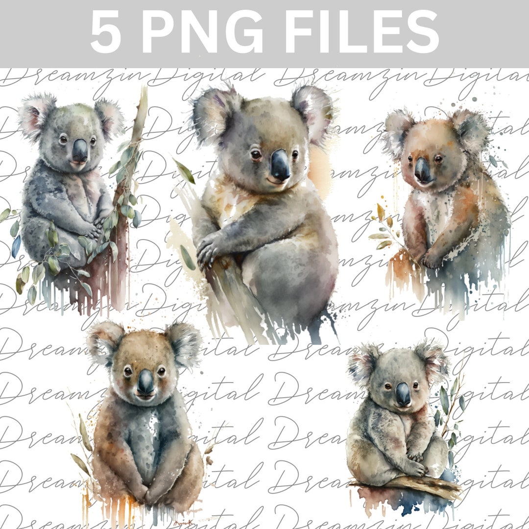 Koala Watercolor, Digital Downloads, Koala Clipart, Koala PNG, Koala ...