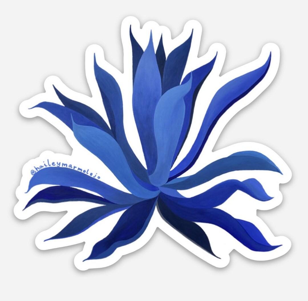 Colorful Agave Plant Sticker - 3x3 In - Etsy