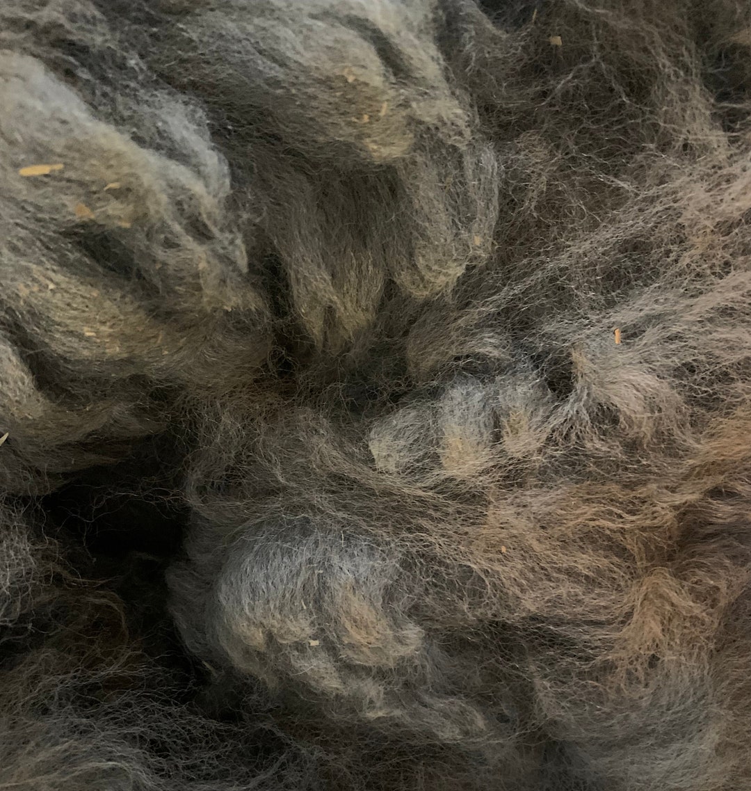 Raw Gray Huacaya Alpaca Fiber - Etsy