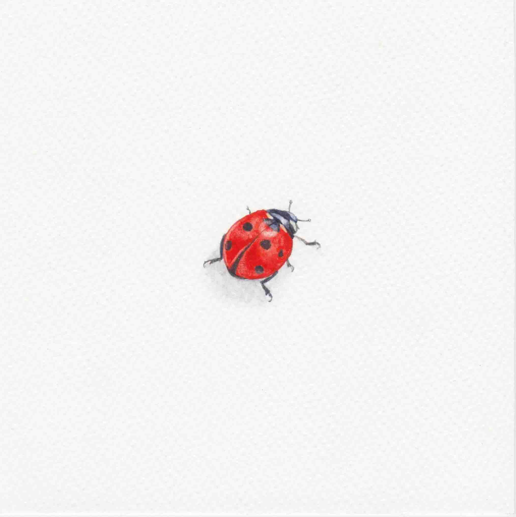 Tiny Ladybug Painting, Small Watercolor Art, Miniature Painting, Hand ...