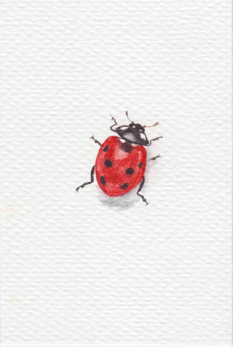 Tiny Original Art, Cute Ladybug Watercolor Painting, Hand Painted Art ...