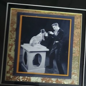 Elvis Presley HOUND DOG Gold Record Award 21" X 15" Shadow Box ...