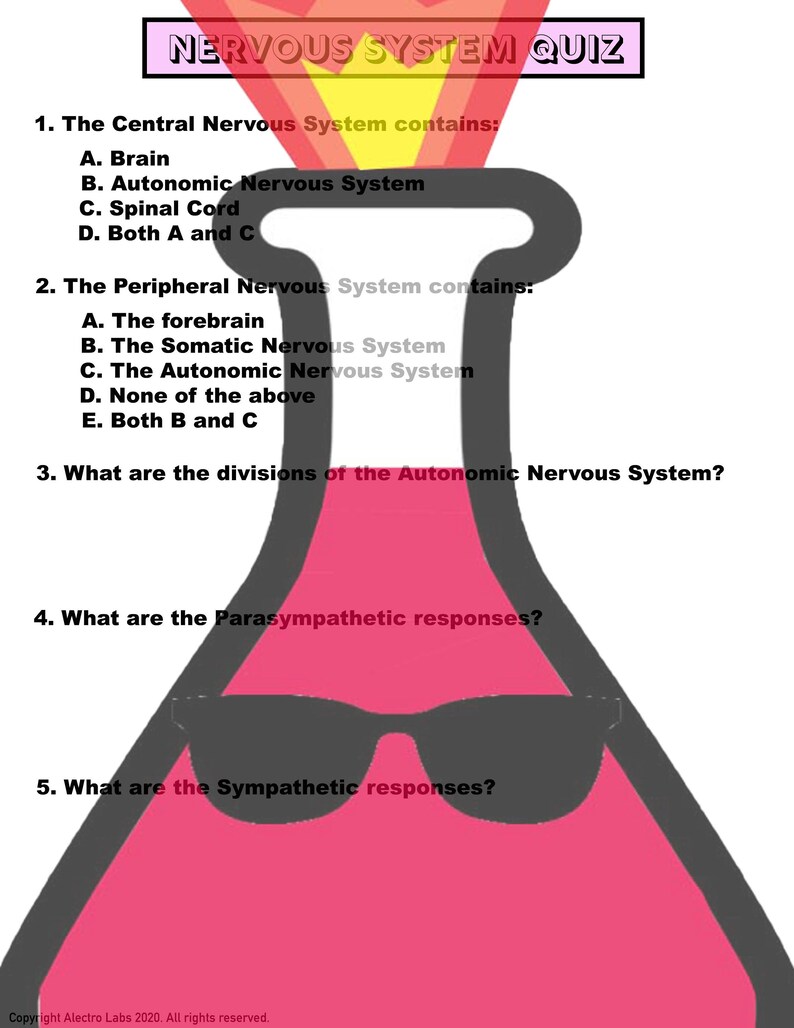 Nervous System Notes Reference Chart + BONUS QUIZ Bundle for Students ...