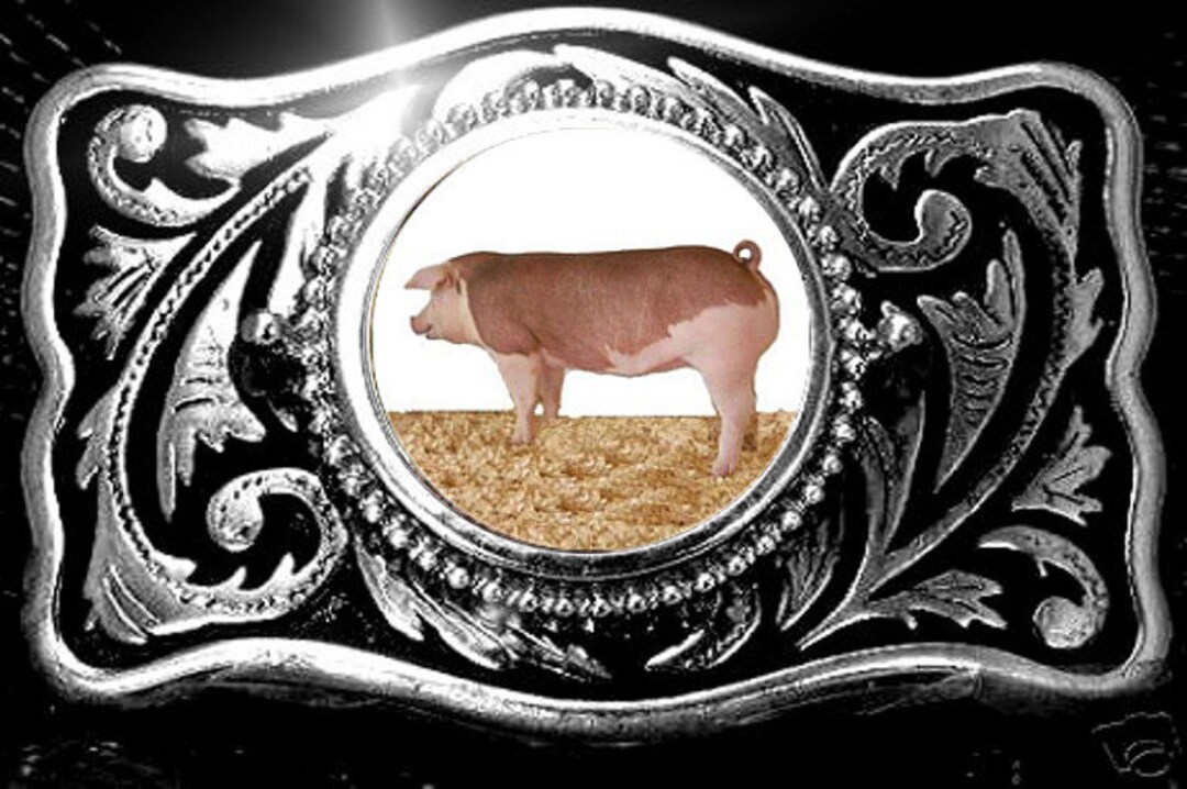 HEREFORD PIG HOG Boar 4H Sow Oinker Unisex Rancher Farm Show Fair Pork ...