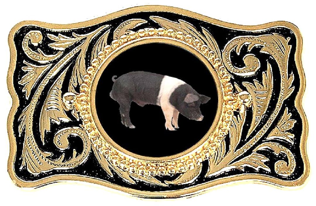 HAMPSHIRE PIG HOG Boar Sow Oinker Unisex Rancher Farm Show Fair Belt ...