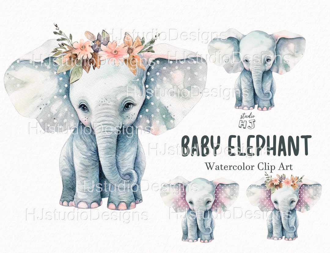 Watercolor Baby Elephant Clipart Png.digital Download - Etsy