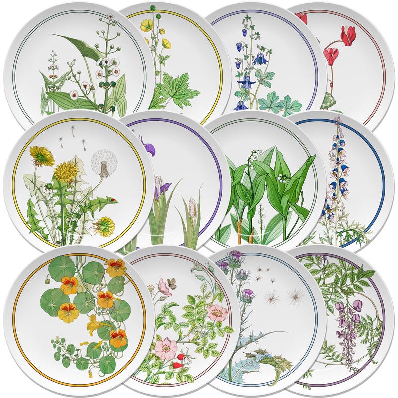 Botanical Dishes - Etsy