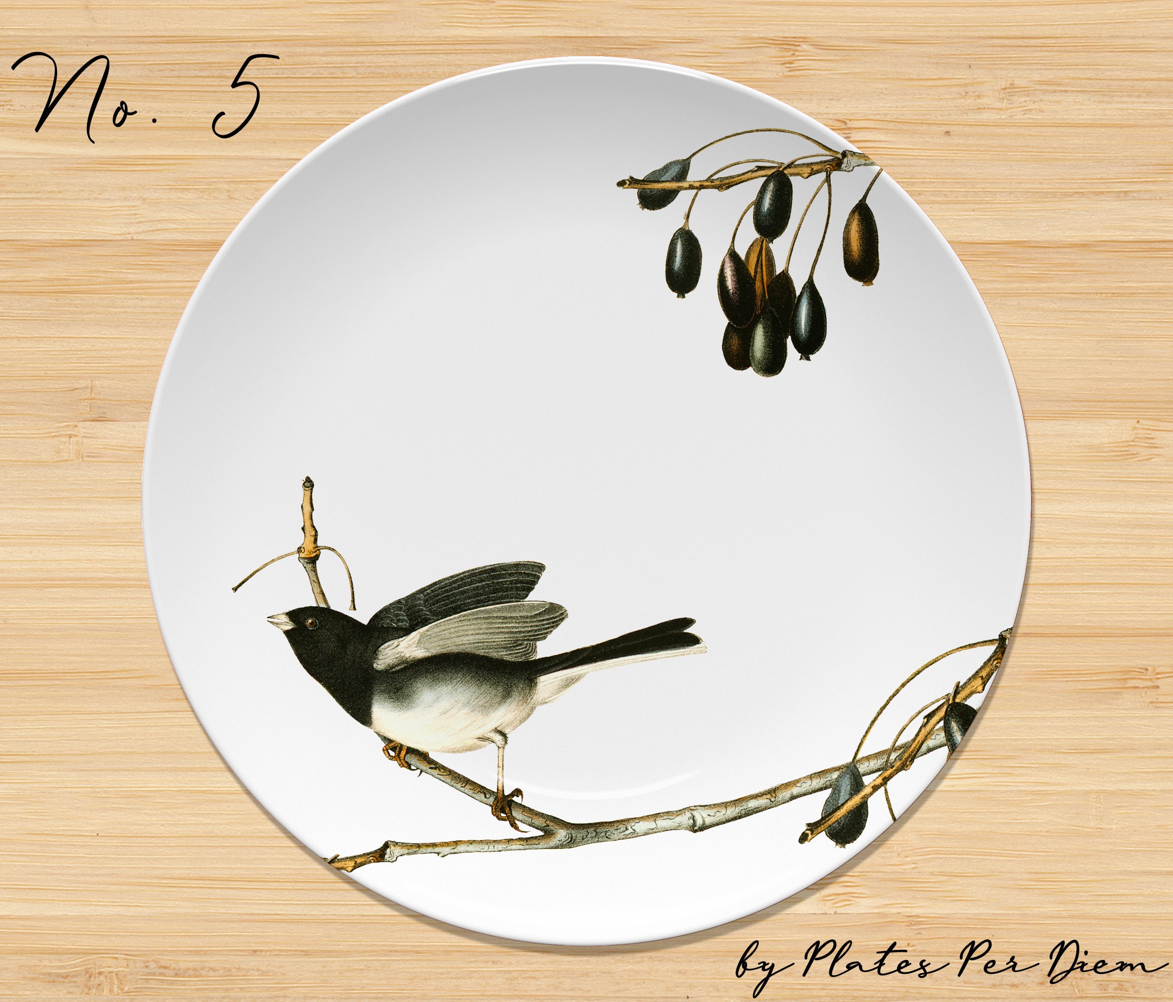 Perching Birds Mixed Set of 6 Dinner Plates for Indoor/outdoor Dining ...