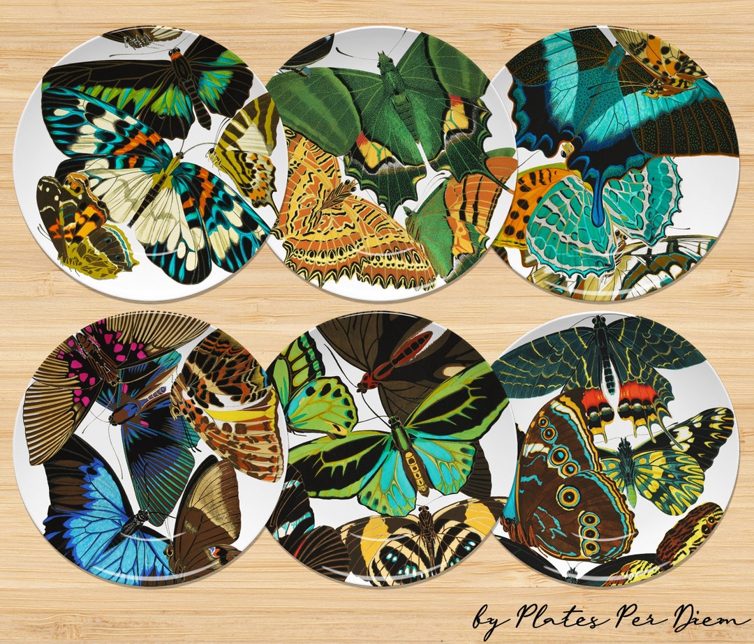 Blue Green Butterfly Dinner Plate Set of 6 for Indoor/outdoor Dining ...